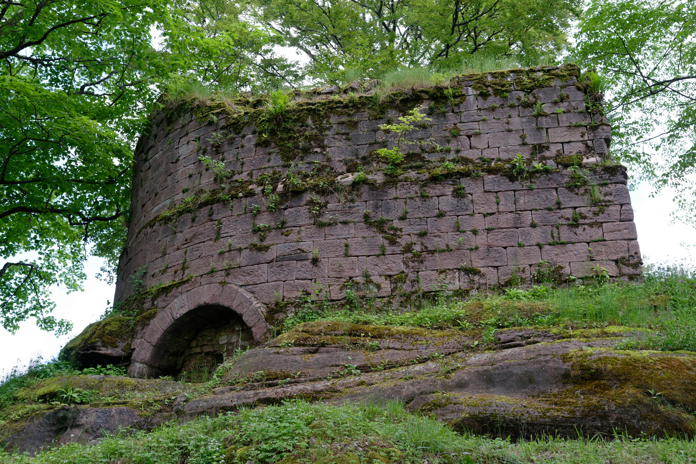 Le château de Salm - Châteaux Forts Alsace