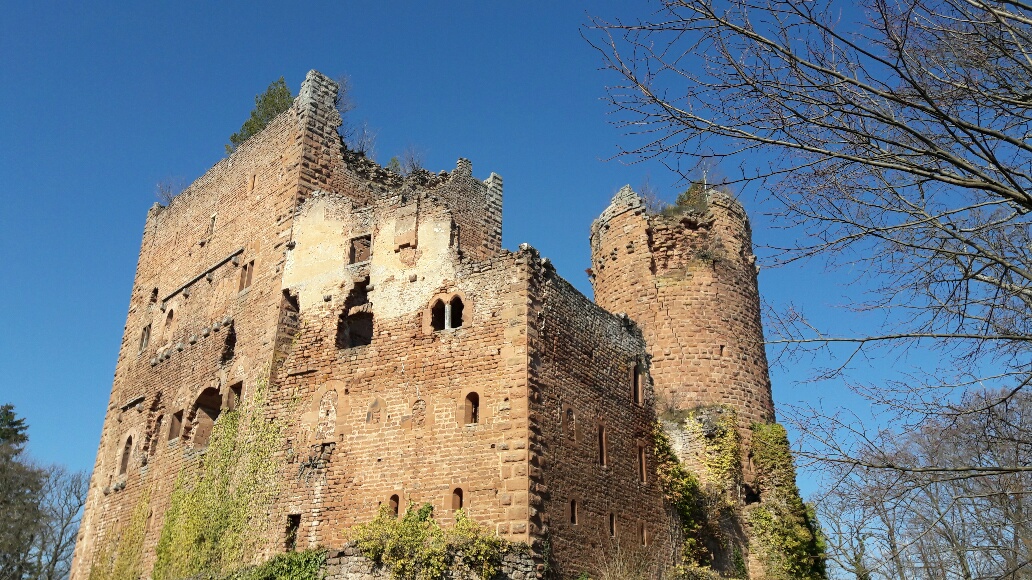 Visite des châteaux d'Ottrott - Châteaux Forts Alsace