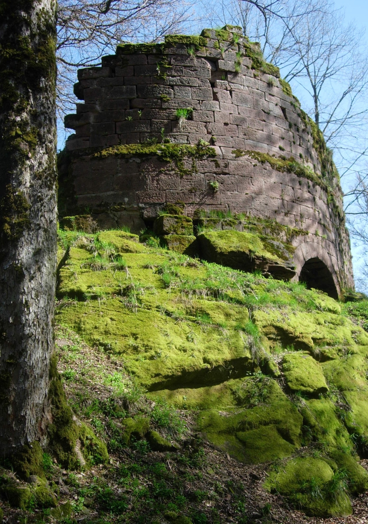 Visite du château de Salm - Châteaux Forts Alsace