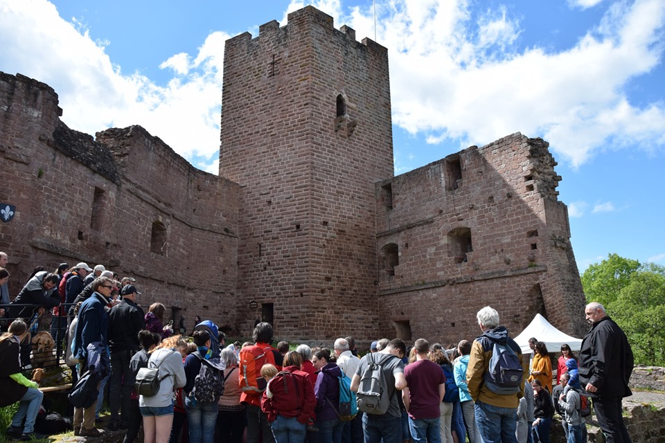 Visite guidée du château de Wangenbourg - Châteaux Forts Alsace